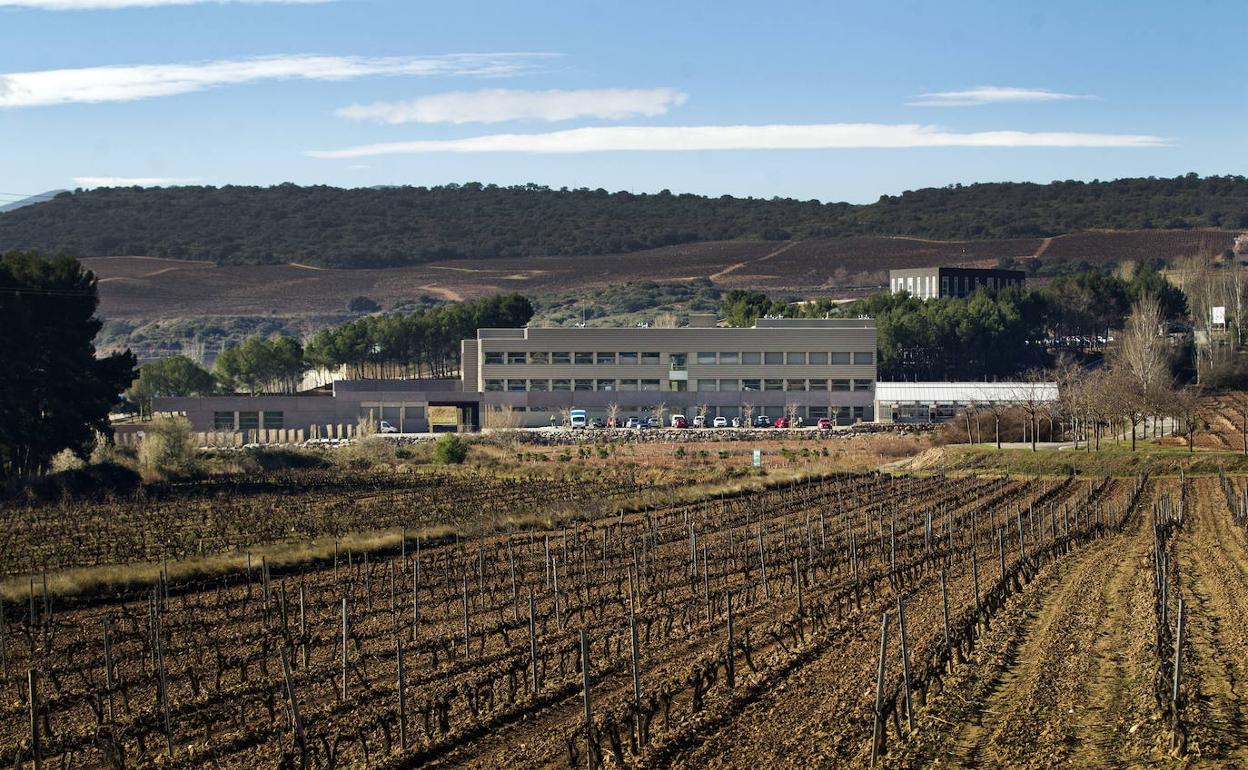 El ICVV ofrece este miércoles un seminario sobre variedades ...
