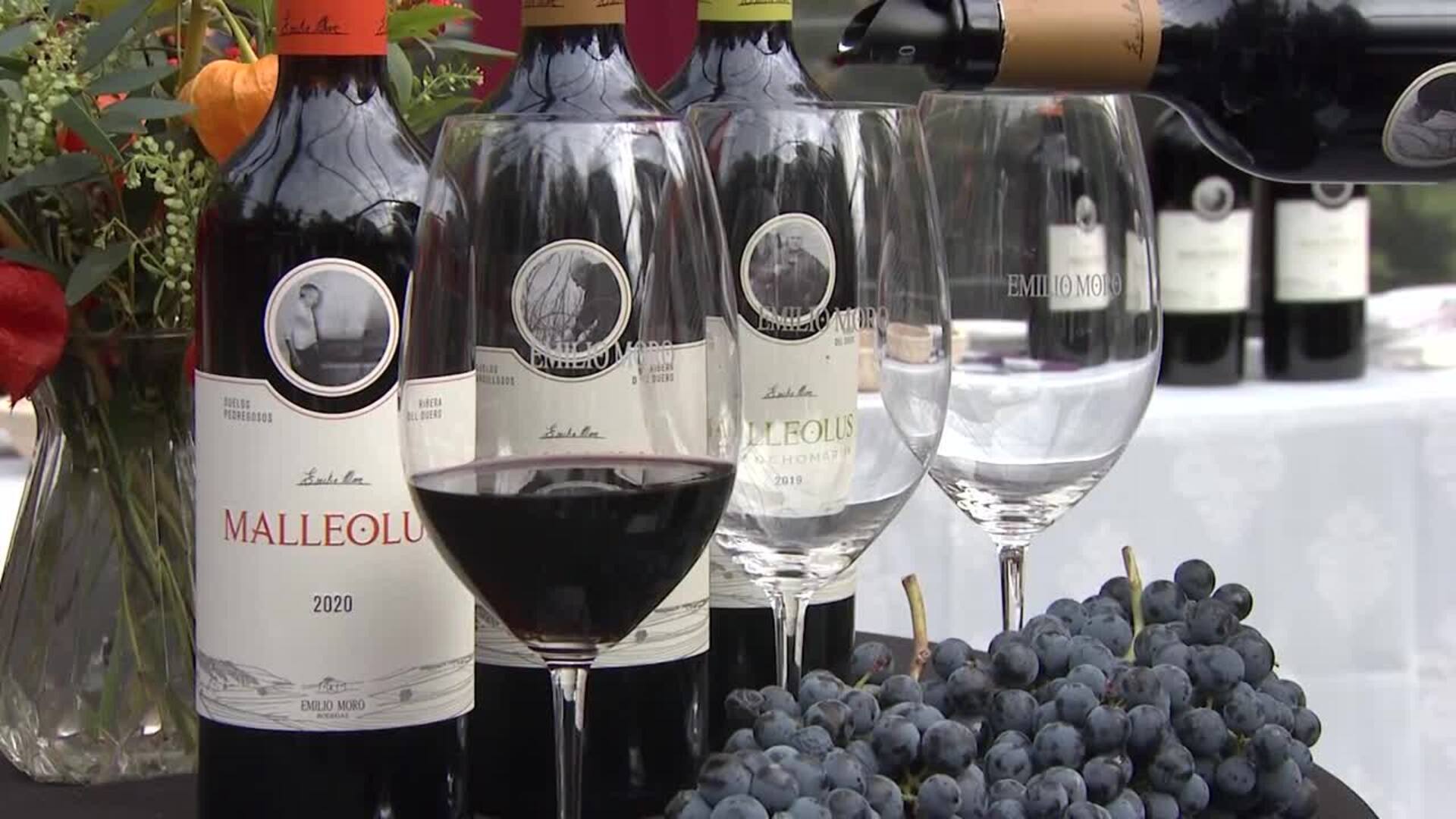 Vinos Malleolus, de Bodegas Emilio Moro, estrenan etiquetas en la ...