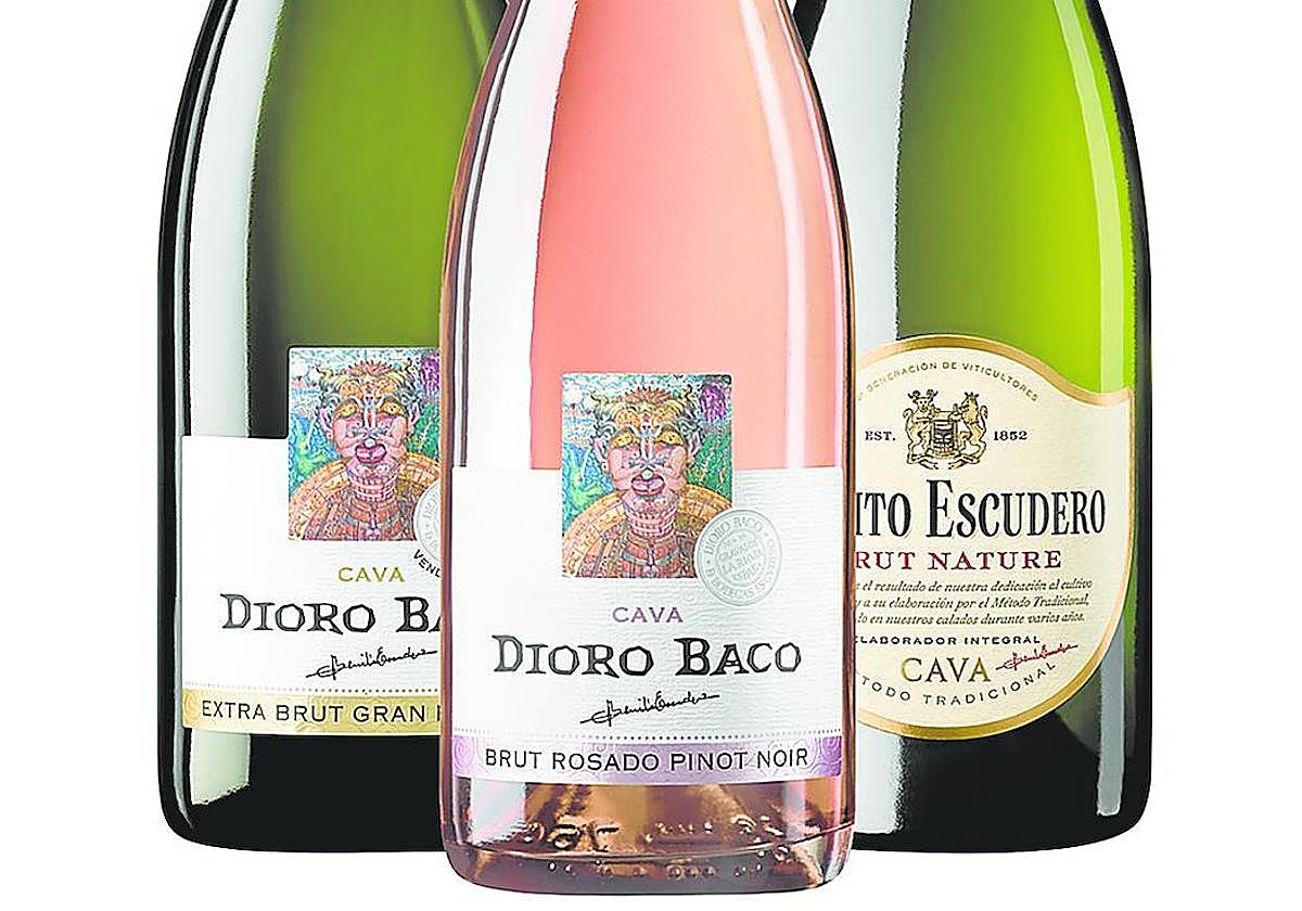 Dioro Baco, señalado como el mejor cava rosado de España | La Rioja