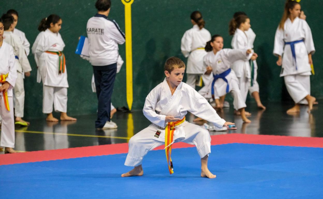 El kárate convoca el sábado a todas las categorías | La Rioja
