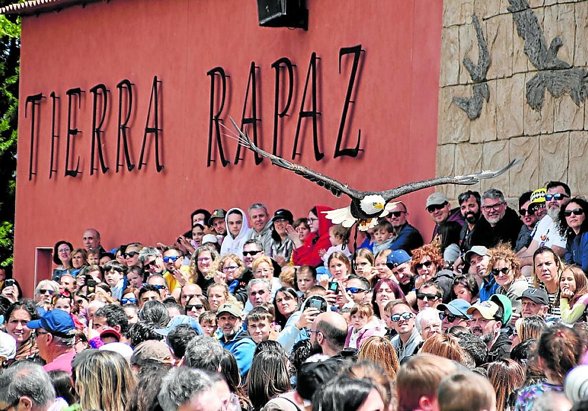 En memoria del naturalista Félix Rodríguez de la Fuente | La Rioja
