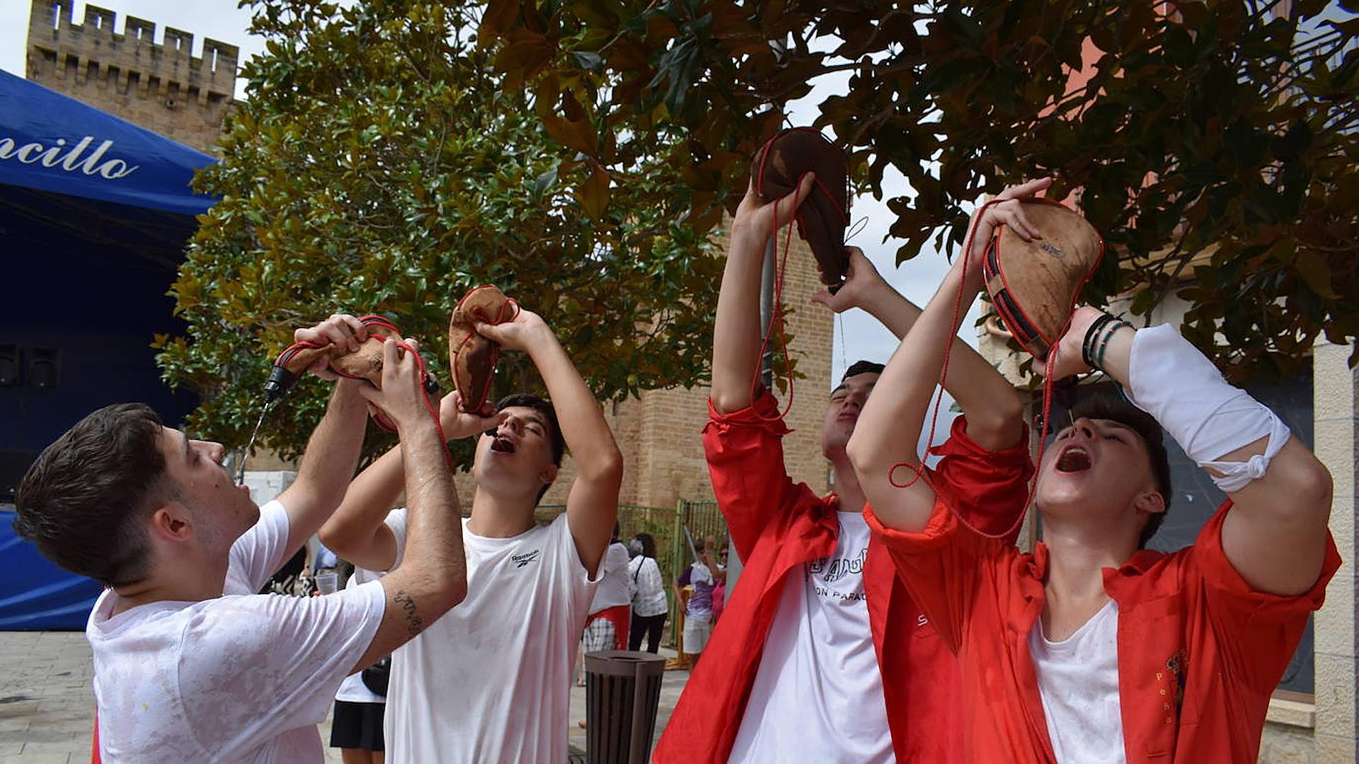 Agoncillo celebra sus fiestas | La Rioja