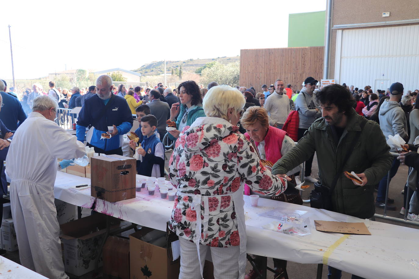 La fiesta de la Pringada del Trujal Cooperativa 5 Valles de Arnedo, en ...