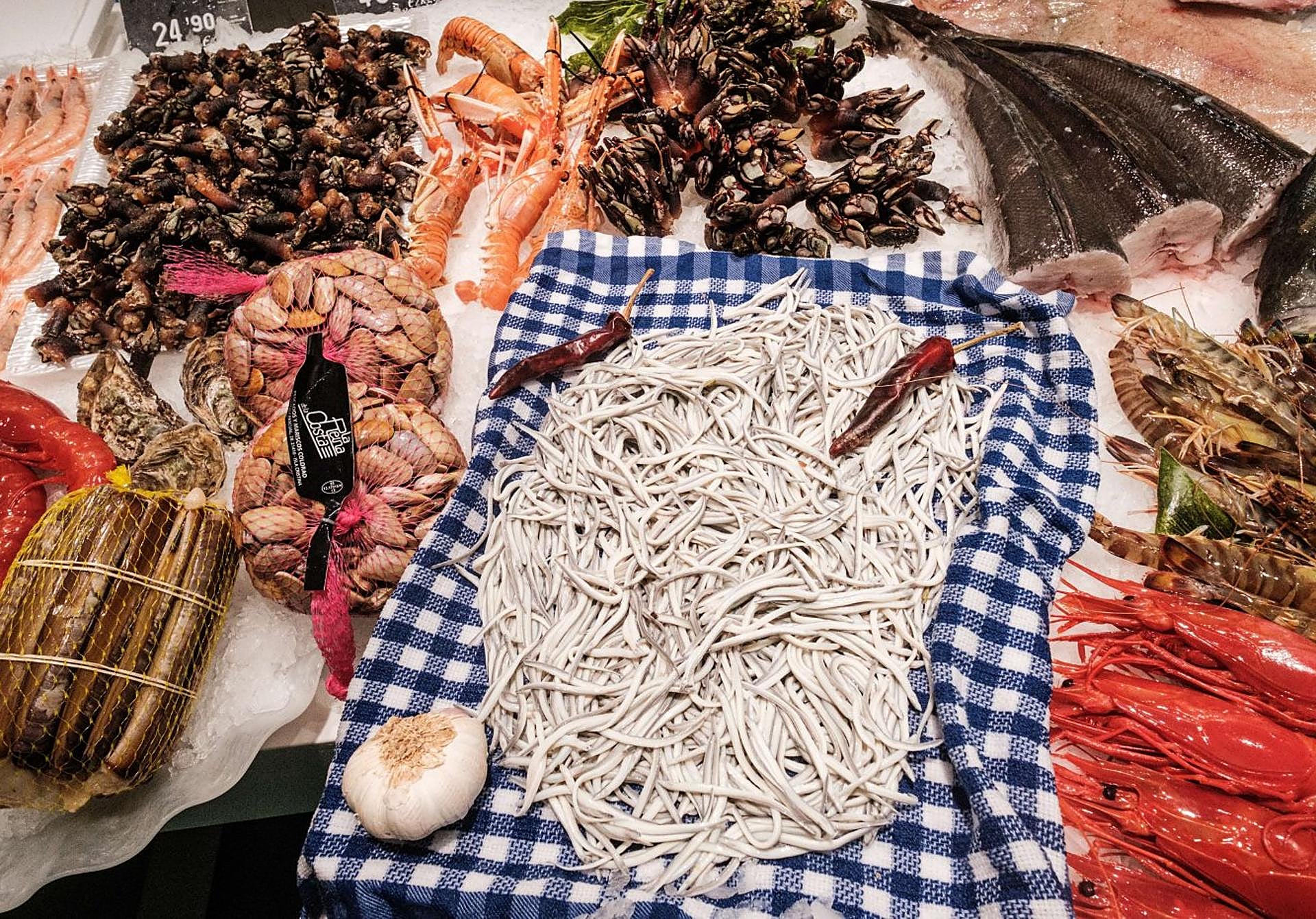 La polémica de las angulas | La Rioja