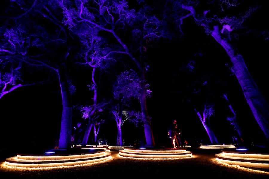 Fotos de la exhibición de luces en el parque Descanso Gardens en ...