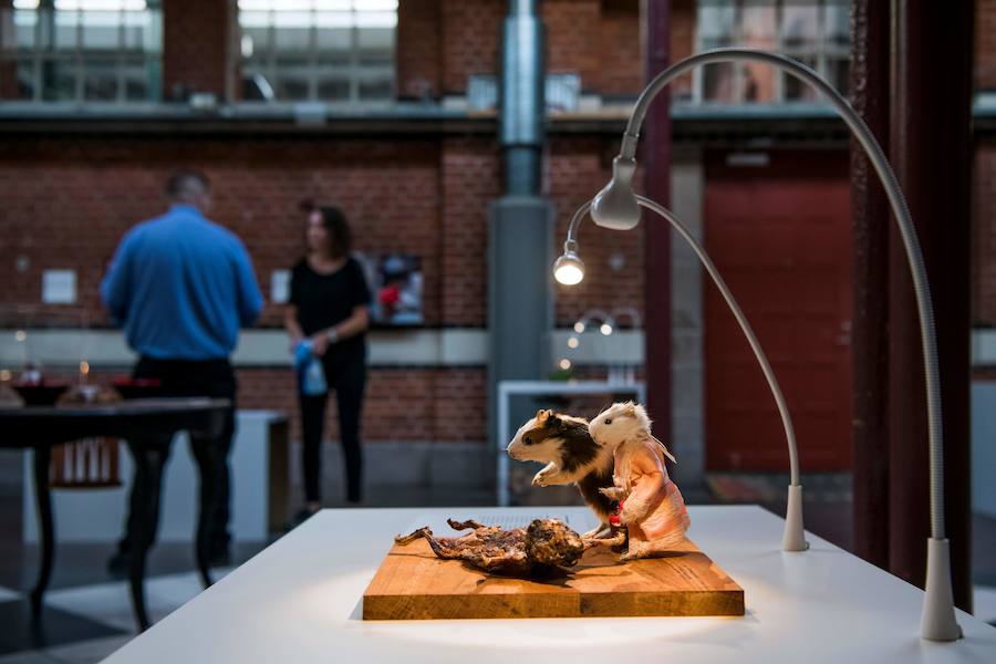 Fotos: Abre en Suecia el museo de la comida asquerosa | Las Provincias