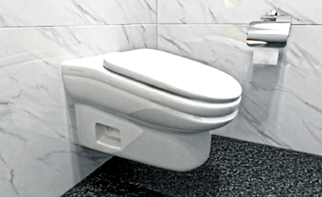 Un retrete escurridizo aumenta la productividad | Las Provincias