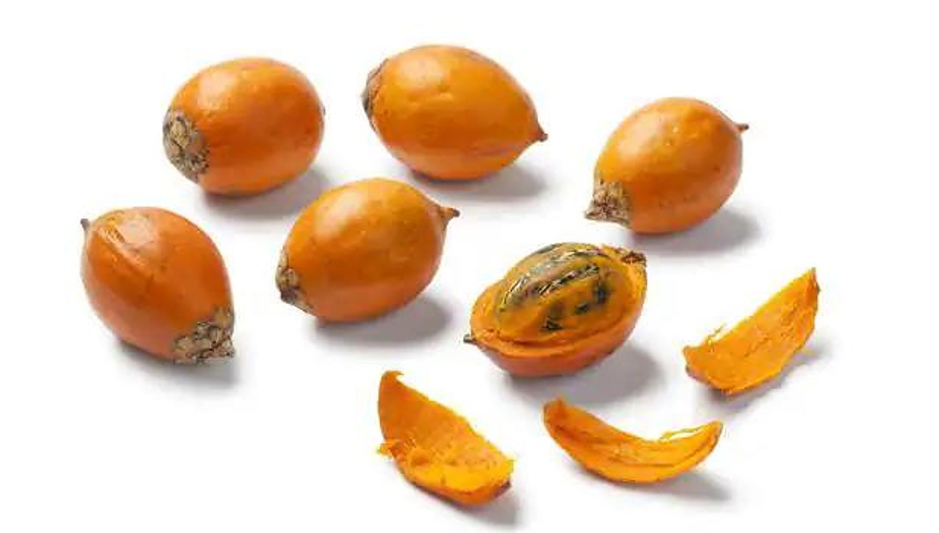 DIETAS: alimentos que no engordan | El alimento que ayuda a mejorar tu ...