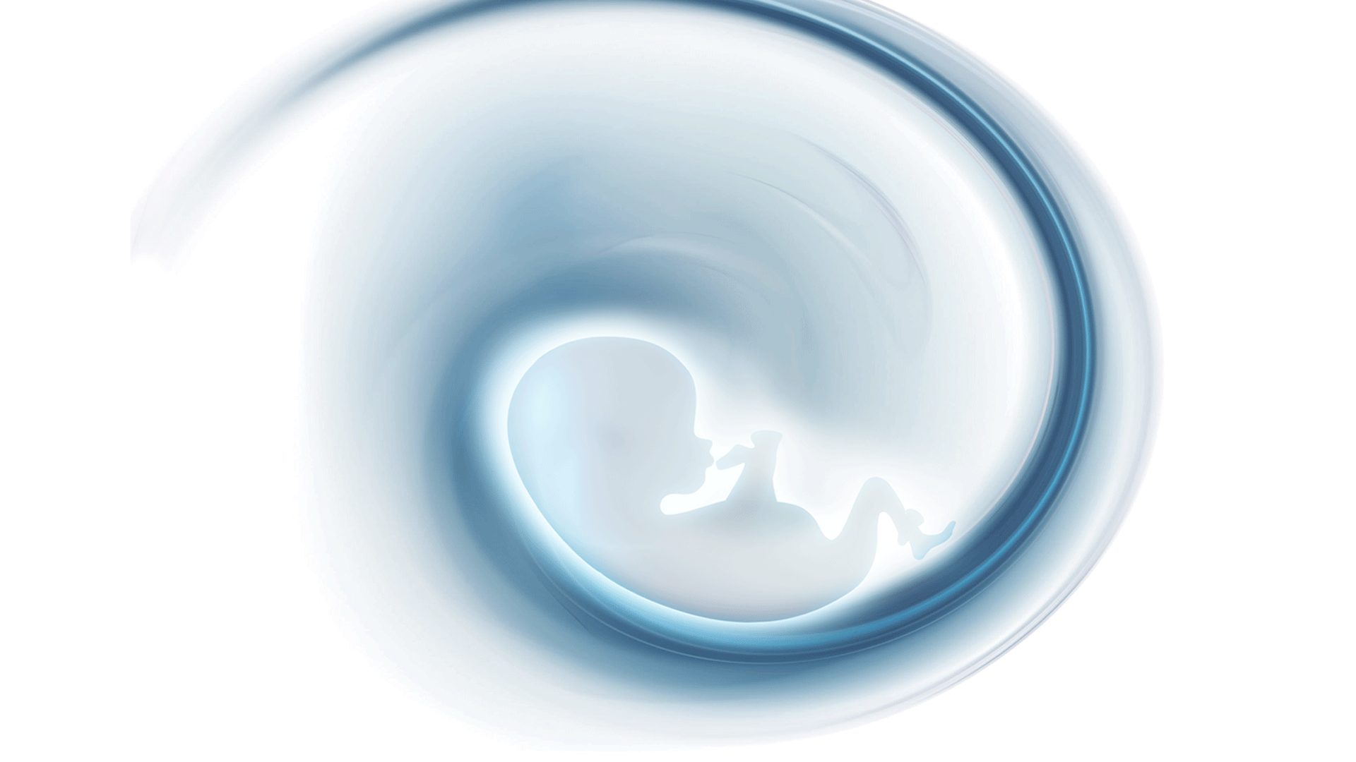 Las técnicas de reproducción asistida | Las Provincias