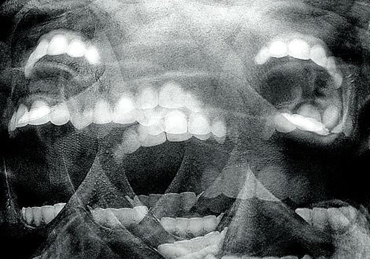 Una era de vitriolo y veneno | Las Provincias