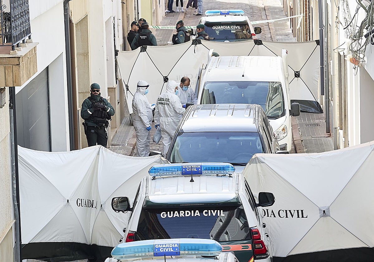 El crimen de Álex: ¿Un arrebato de locura, un móvil machista o encubrir ...