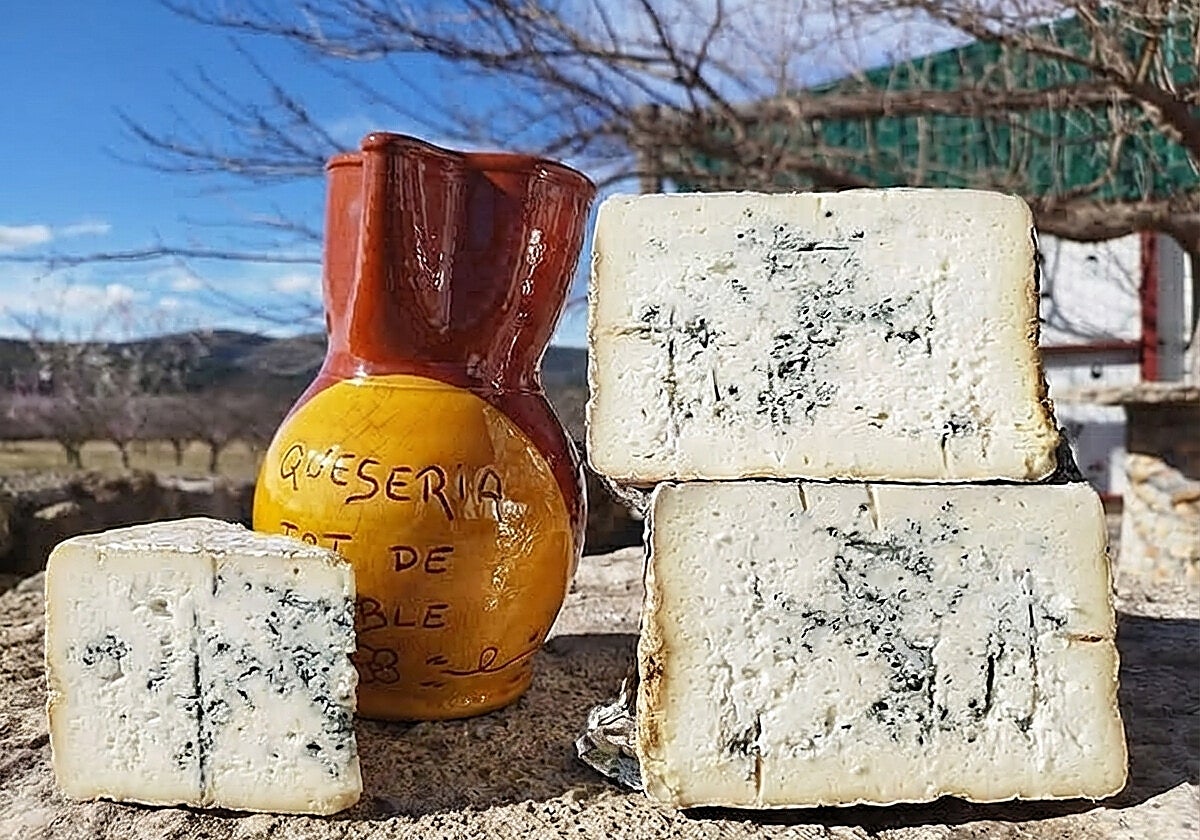 La Valltorta, el queso azul de Castellón que conquista el paladar ...