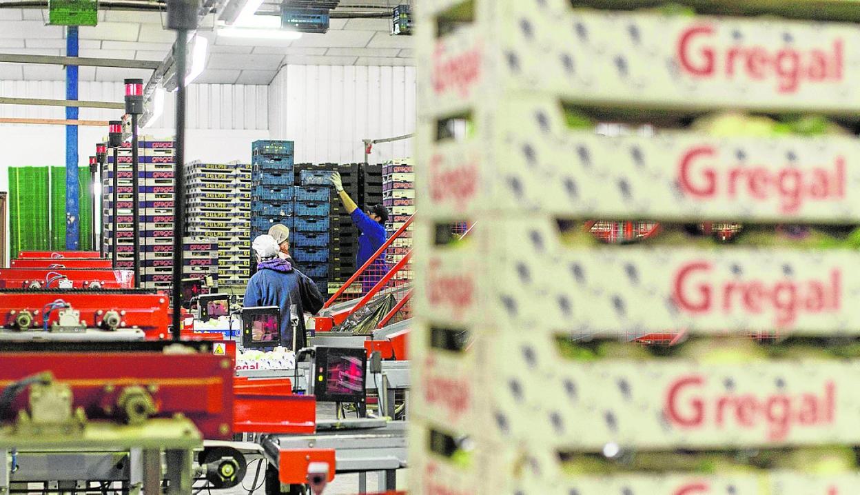 Gregal, calidad y tradición como forma de vida desde 1979 | La Verdad
