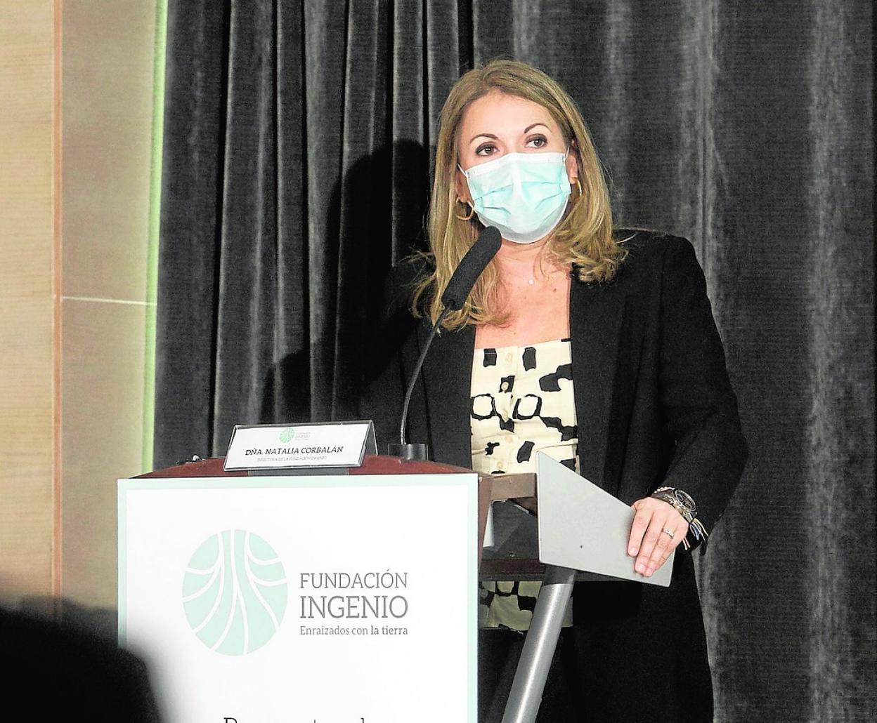 Fundación Ingenio reclama «más conciencia» a los políticos para salvar ... Fundación Ingenio reclama «más conciencia» a los políticos para salvar ...