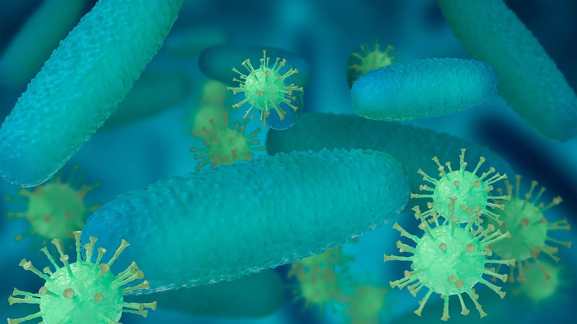 Mariano Gacto Fernández: Fronteras de la vida (I): los viroides | La Verdad