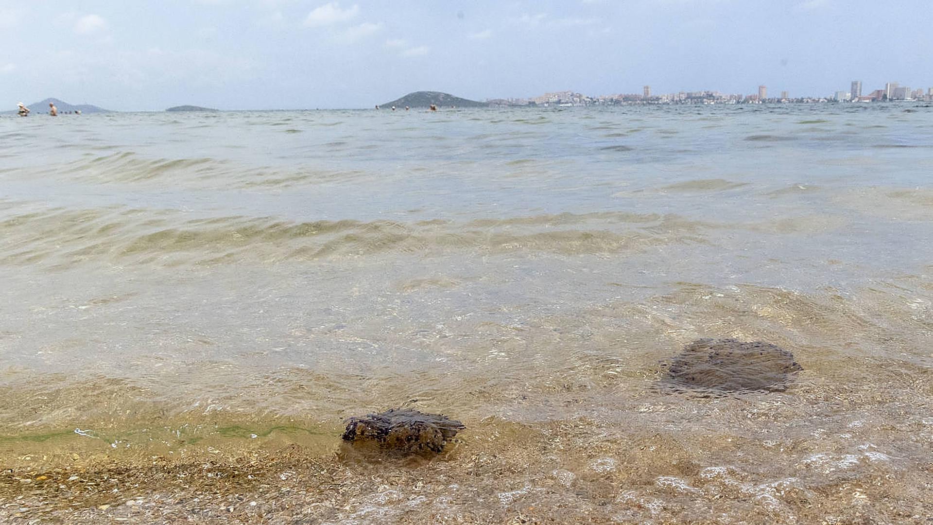 El Miteco adjudica su red de boyas para monitorizar en tiempo real el ...