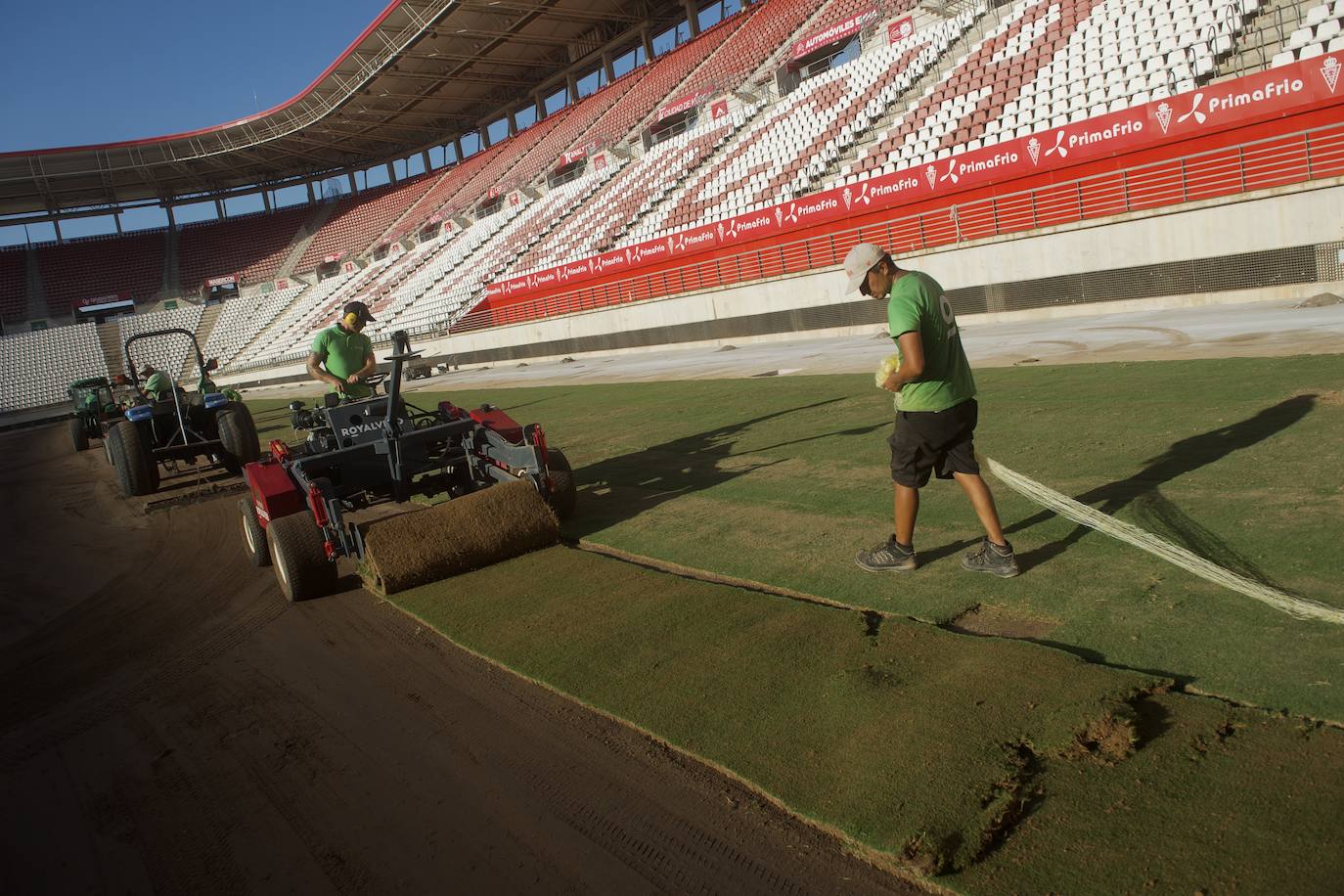 Instalación del nuevo césped en el estadio Enrique Roca de Murcia | La ...