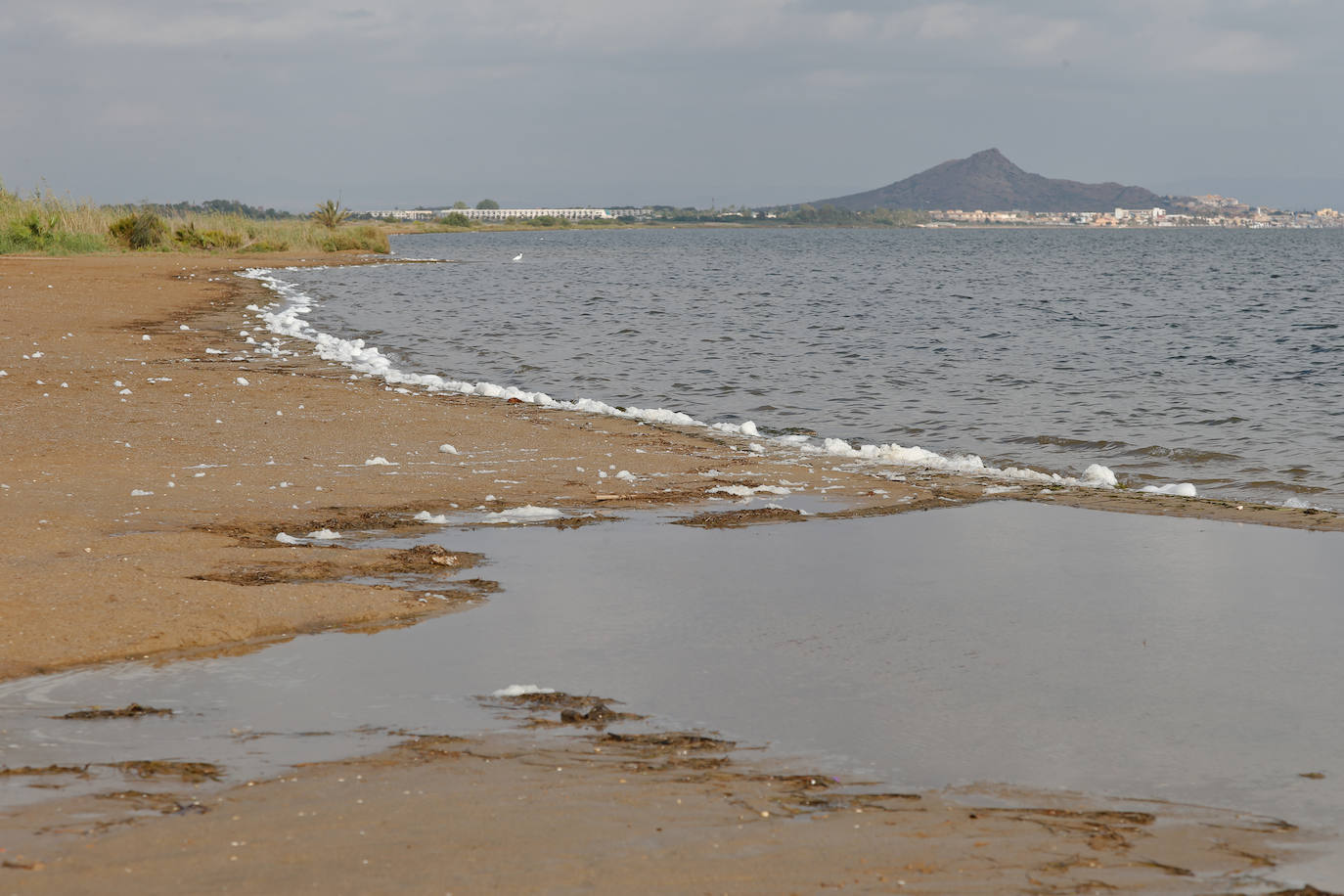 El Mar Menor se llena de algas y mal olor | La Verdad