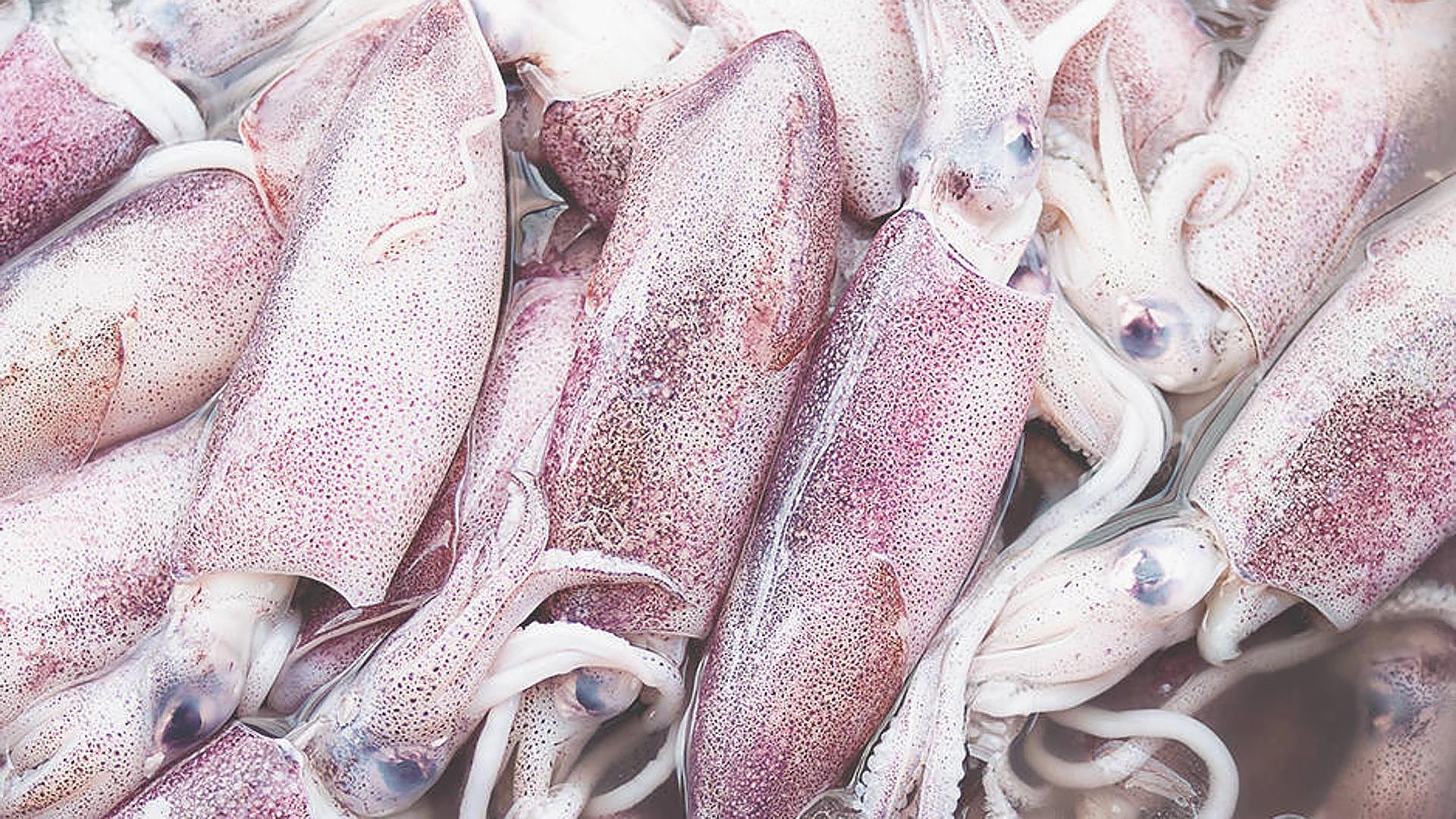 El calamar, el rey del chiringuito | La Verdad