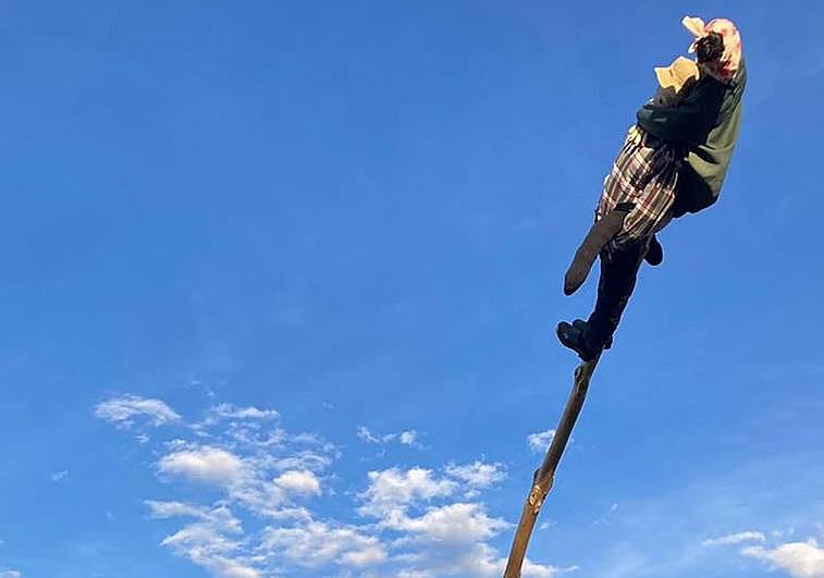 Así se 'pinan los mayos' en León | leonoticias.com