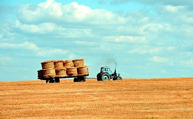 La ULE programa un seminario sobre el mundo rural, tradición oral ...
