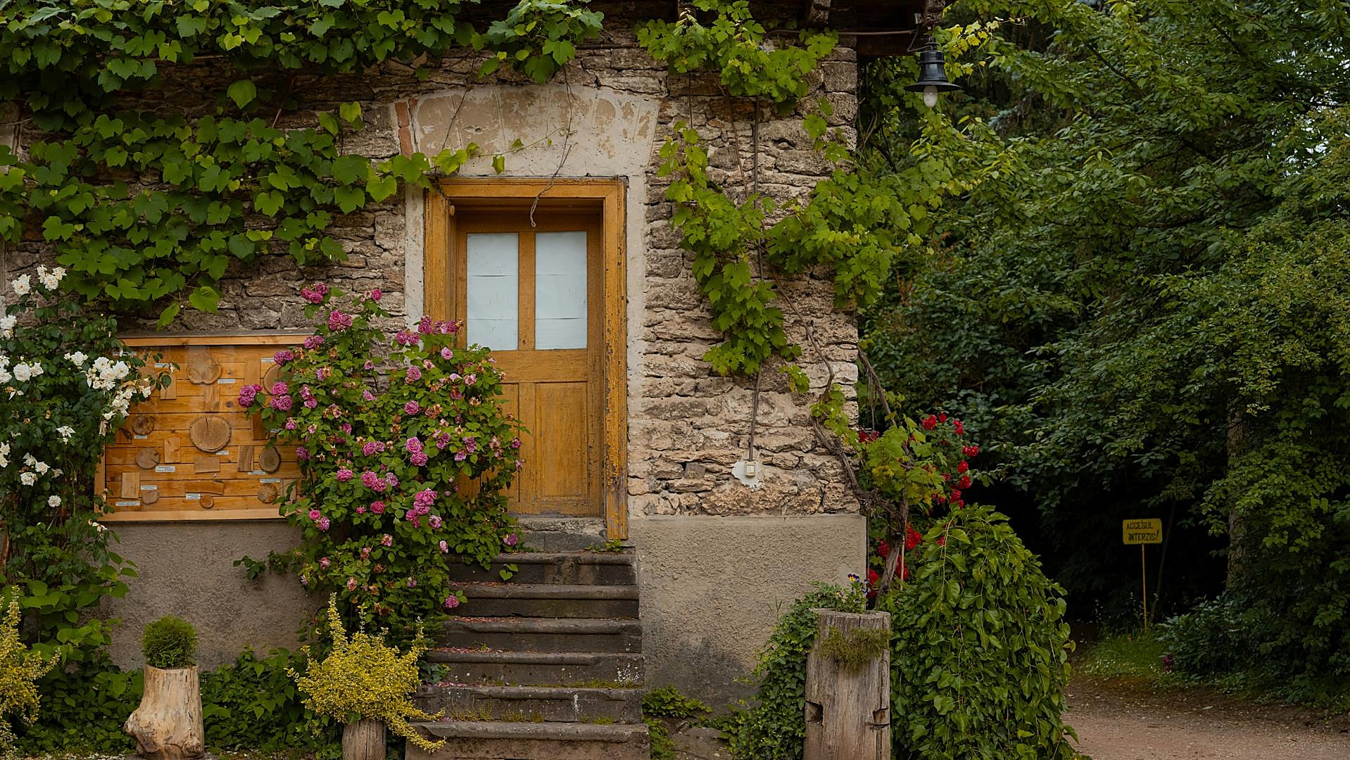 Esta es la novela que recomiendo a mi madre y mis amigas y es perfecta ...