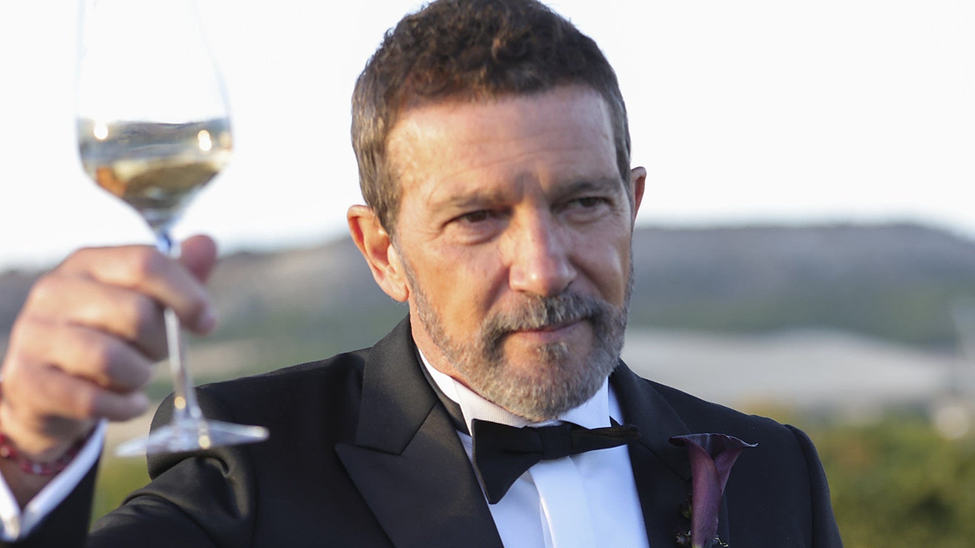 El indiscreto invitado que filtró el vestido de novia de Stella del ...