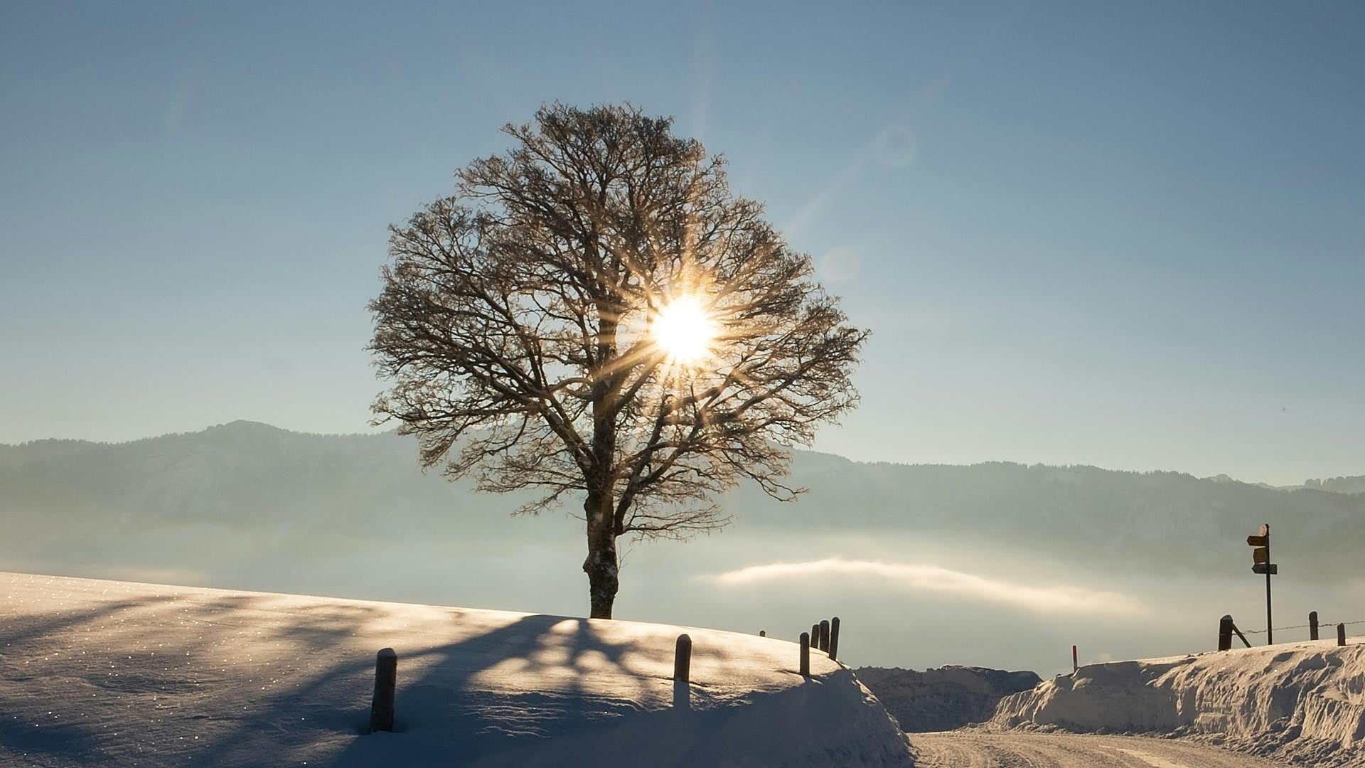 Cuándo es el Solsticio de Invierno y qué rituales debes hacer para ...