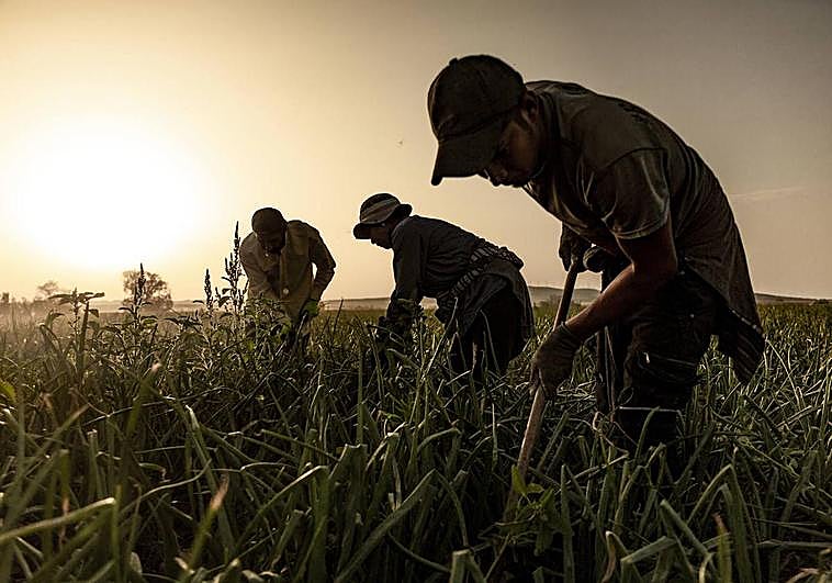 Tembleque: el pueblo de Toledo en el que se 'vive' de noche | El Correo