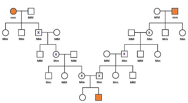 Aprendiendo genética con las personas pelirrojas | El Correo