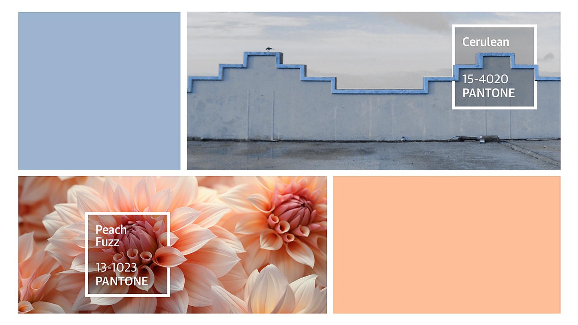 Un repaso a los colores Pantone del año: del 'Cerulean' al 'Peach Fuzz ...