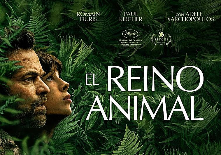 'El reino animal' y 'Anatomía de una caída' dominan las nominaciones ...