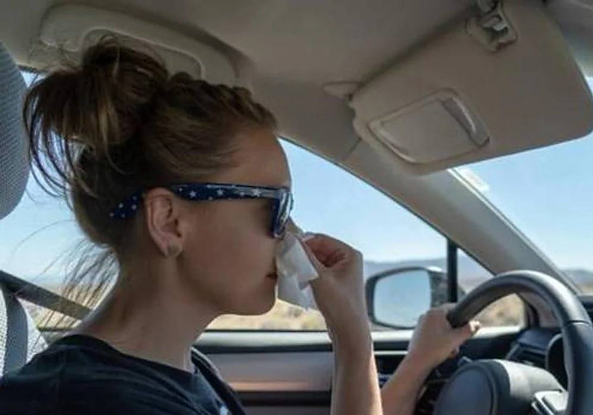 How to Avoid Allergies While Driving | TodoAlicante