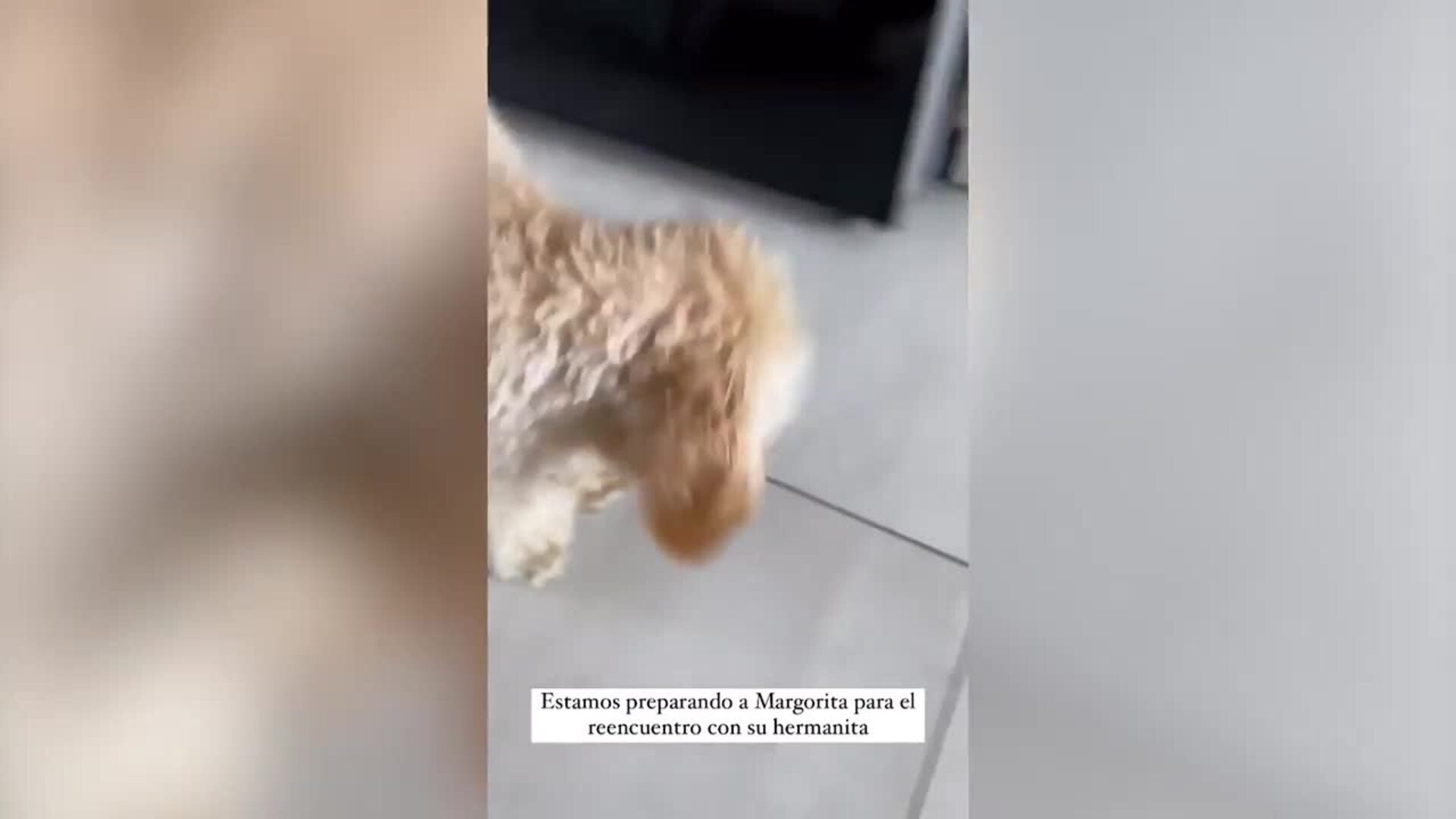 Patricia Steisy y Pablo Pisa disfrutan de sus primeras horas como ... Patricia Steisy y Pablo Pisa disfrutan de sus primeras horas como ...