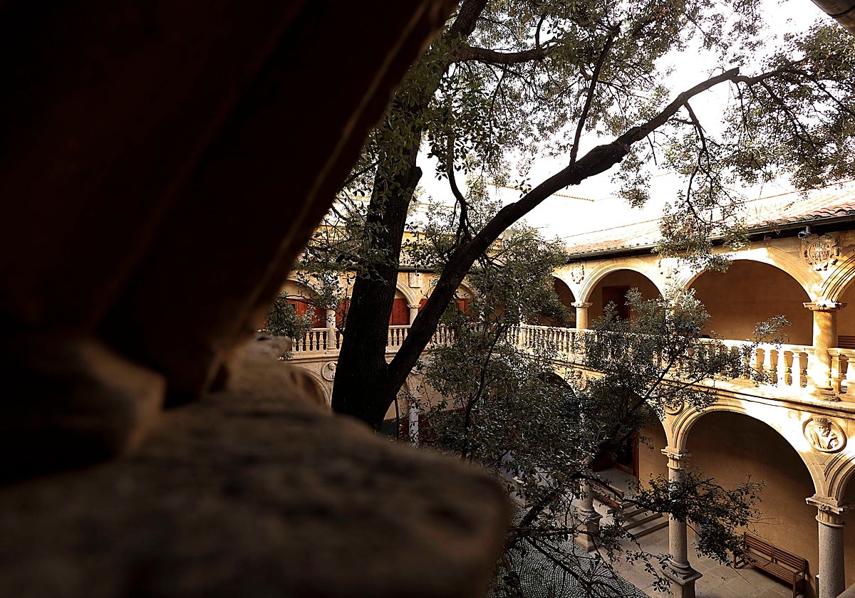 Salamanca: la encina que convierte en zen el patio renacentista de San ...