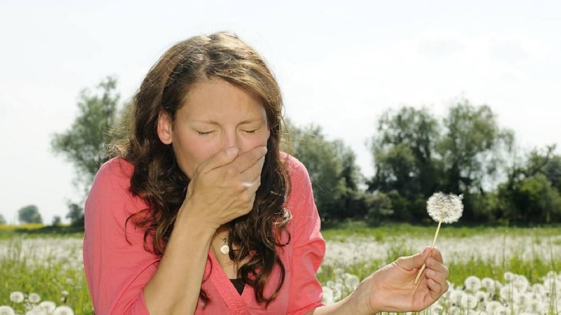 Less olive pollen to provoke allergies this spring | Sur in English