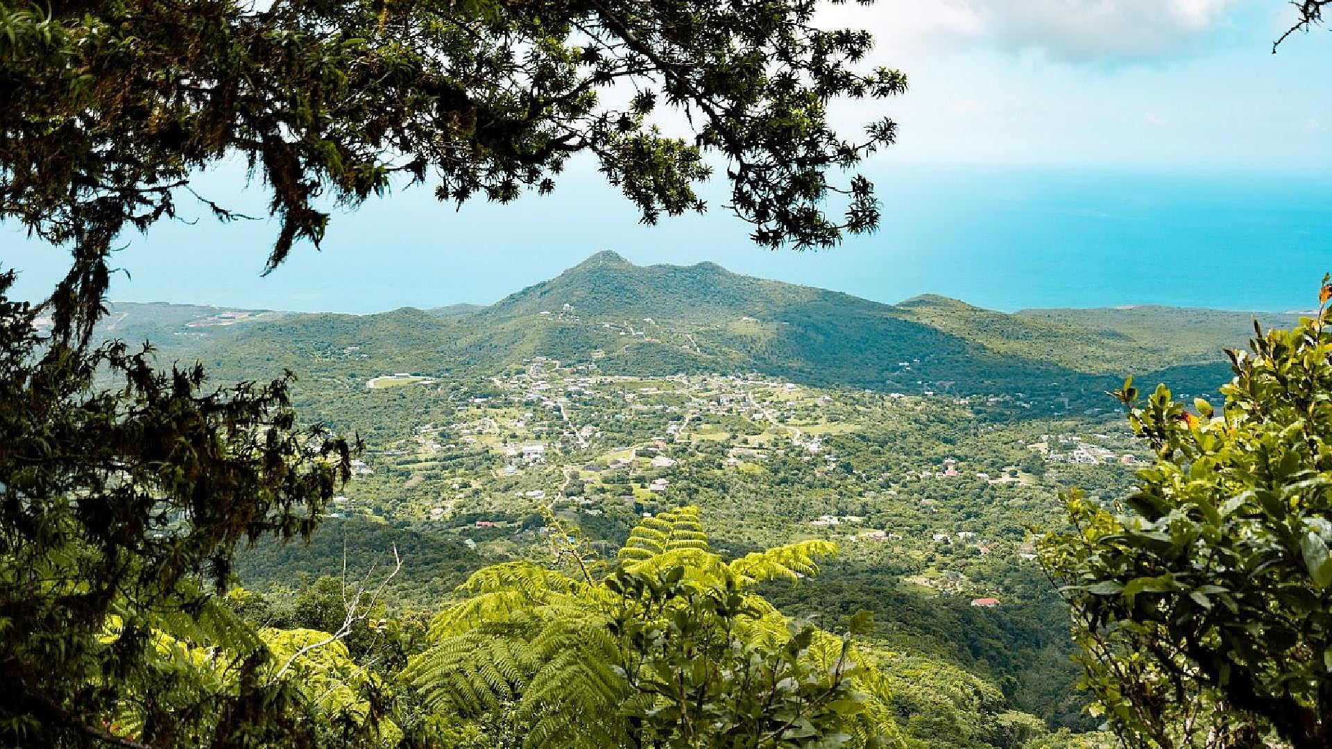 Rush slowly: discovering the authentic Caribbean | Sur in English