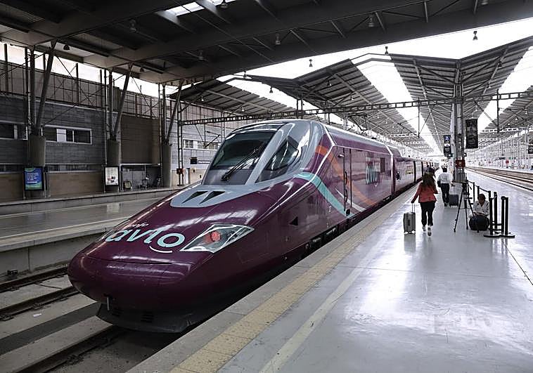 Renfe's low-cost high-speed Avlo trains to allow pets up to 10 kilos to ...