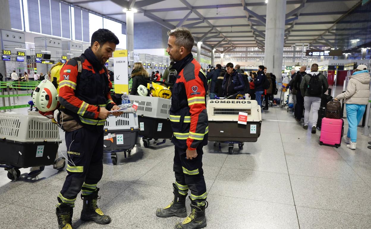 Every second counts: Malaga firefighters fly to Turkey to help in ...
