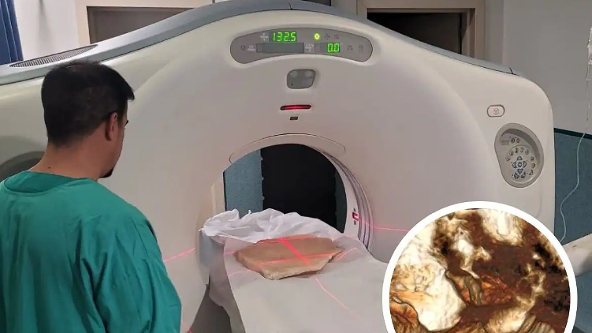 CAT scans of rare stegamites discovered in Malaga cave reveal some of ...