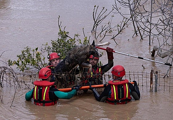 Malaga flood victims demand action: 'We were fighting against something ...