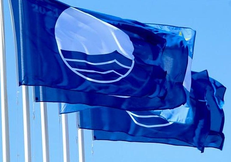 These are the 45 Costa del Sol beaches that will fly the coveted blue ...