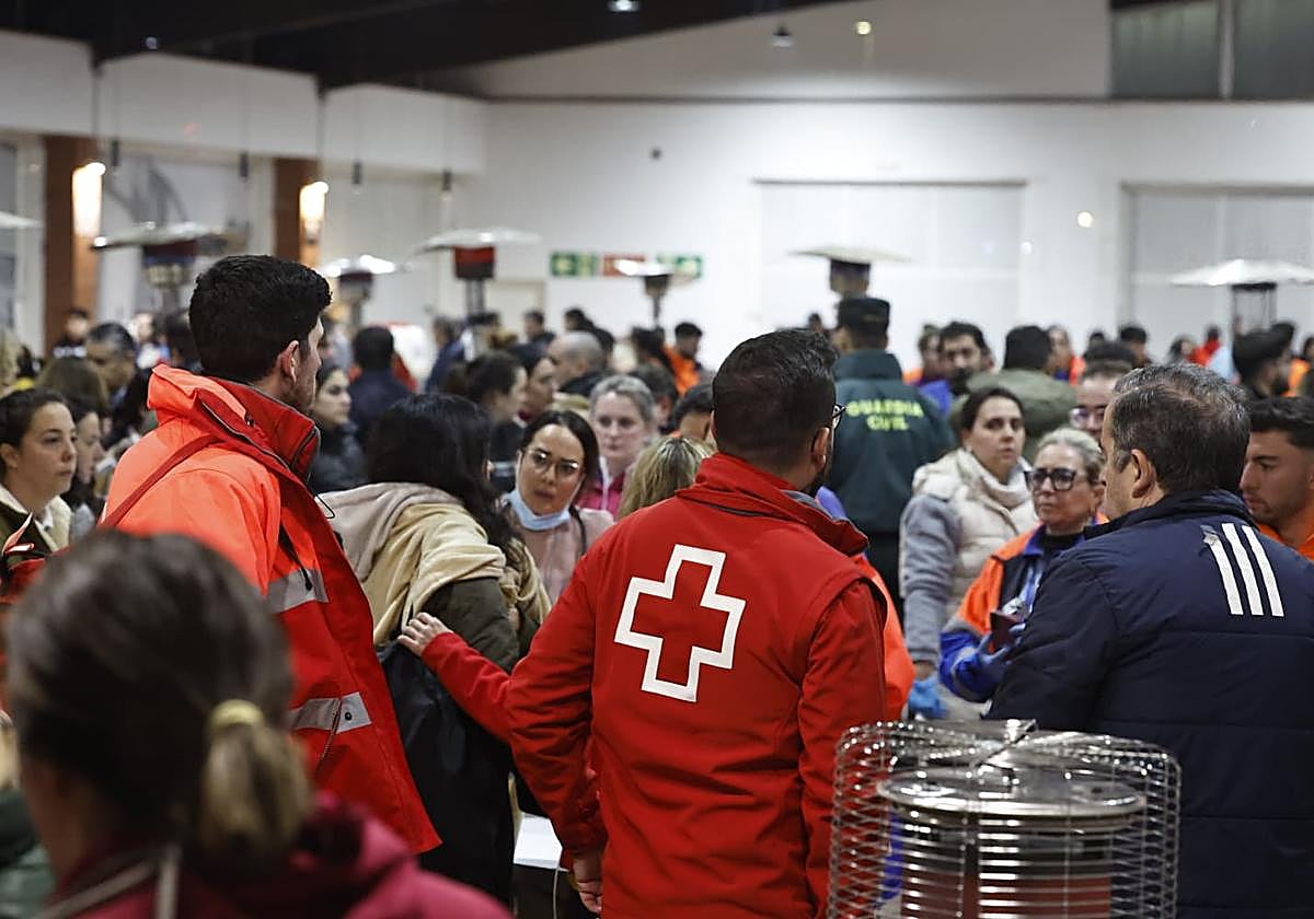 Ten-year-old train crash survivor Carlota: 'Dad, can I go back to the ...