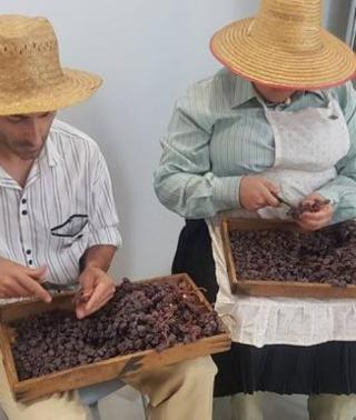 Muscatel raisin given FAO Heritage status | Sur in English