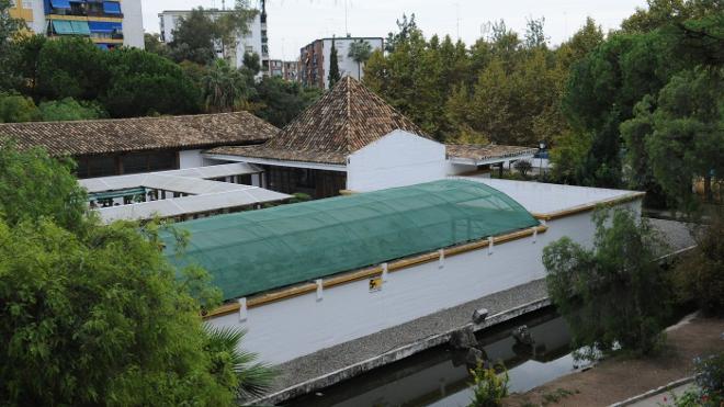 Marbella's new library set for old Bonsai Museum site | Sur in English