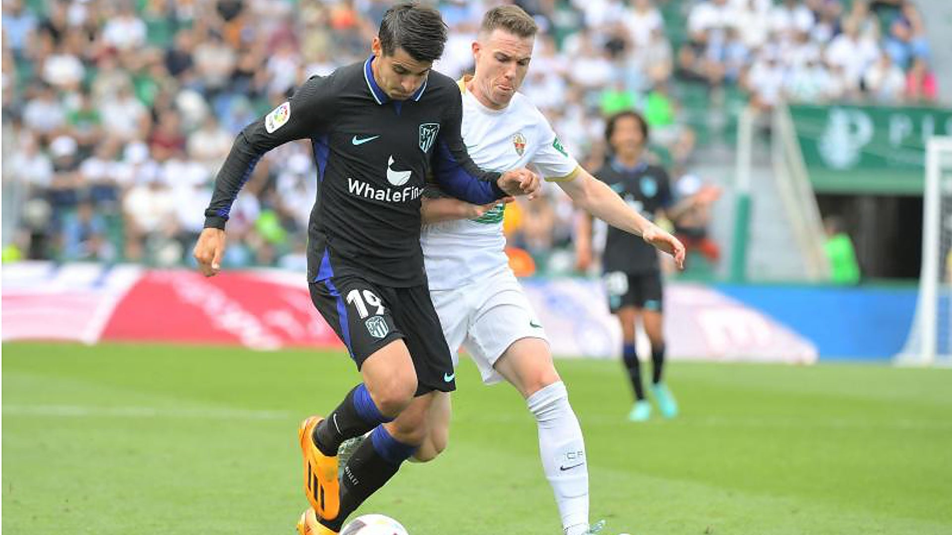 Clerc seguirá en el Elche pese al descenso | TodoAlicante