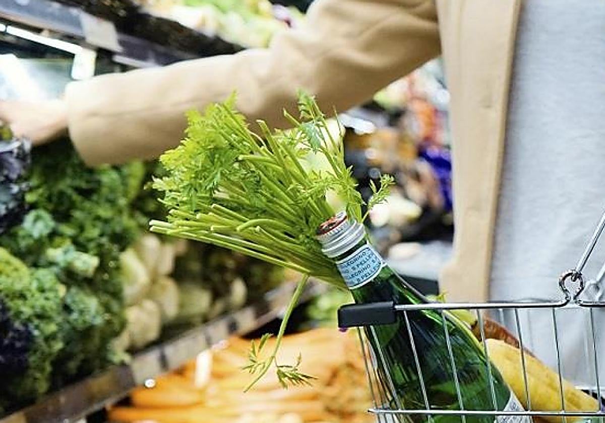 University of Alicante Launches Pioneering Study to Combat Obesity with ...